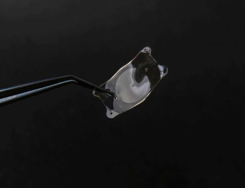 Conjunctivitis vs Blepharitis: Understanding the Differences | Reno Eye Care Professionals